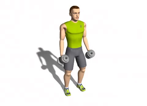 Standing Dumbbell Front Raise